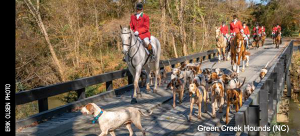 Fox Hunting Magazine: Foxhunting Life with Horse and Hound