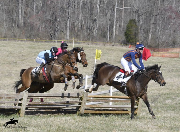 Fox Hunting Life with Horse and Hound - Foxhunting Life