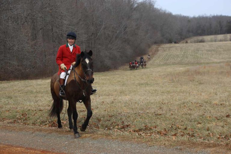 Fox Hunting Life with Horse and Hound - Foxhunting Life