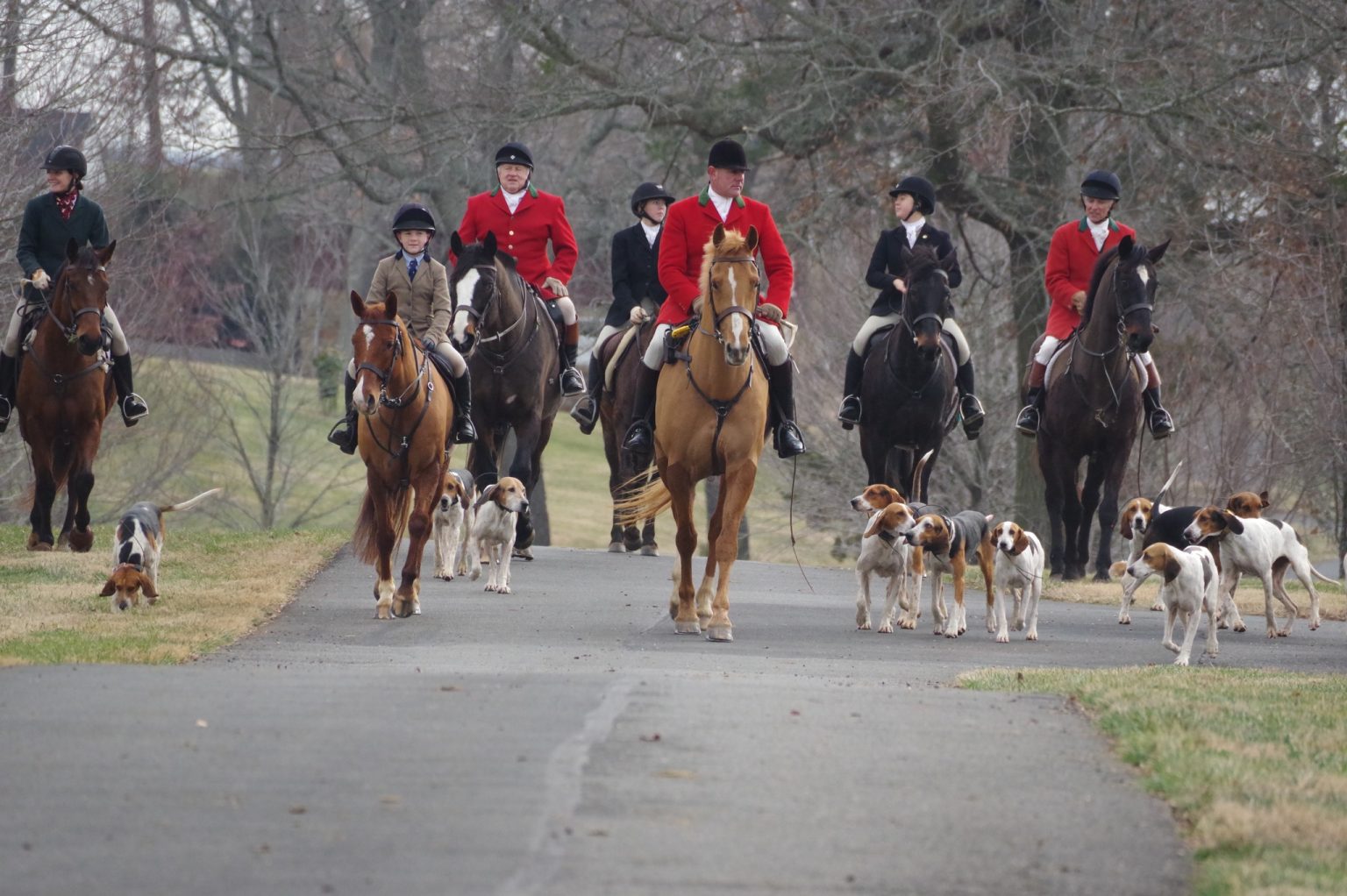 2023 Christmas Keswick Hunt Club Junior Day Hunt – Foxhunting Life